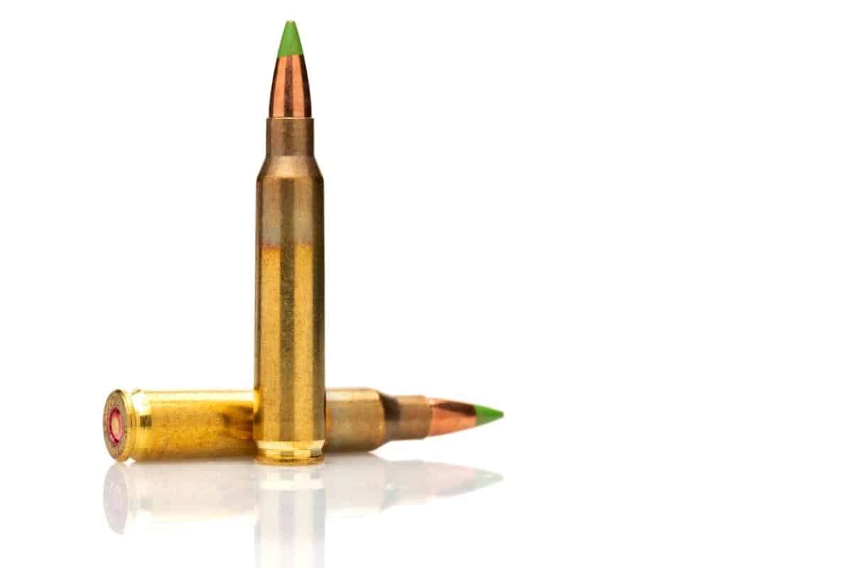 17 Different Types of Bullets & Their Uses | Berry's Bullets